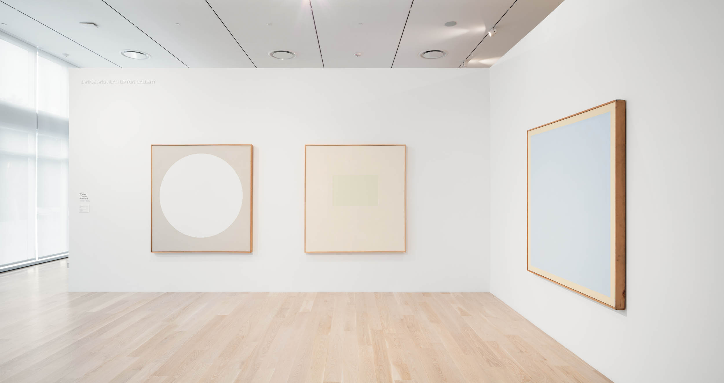 Walter Darby Bannard - Institute of Contemporary Art, Miami