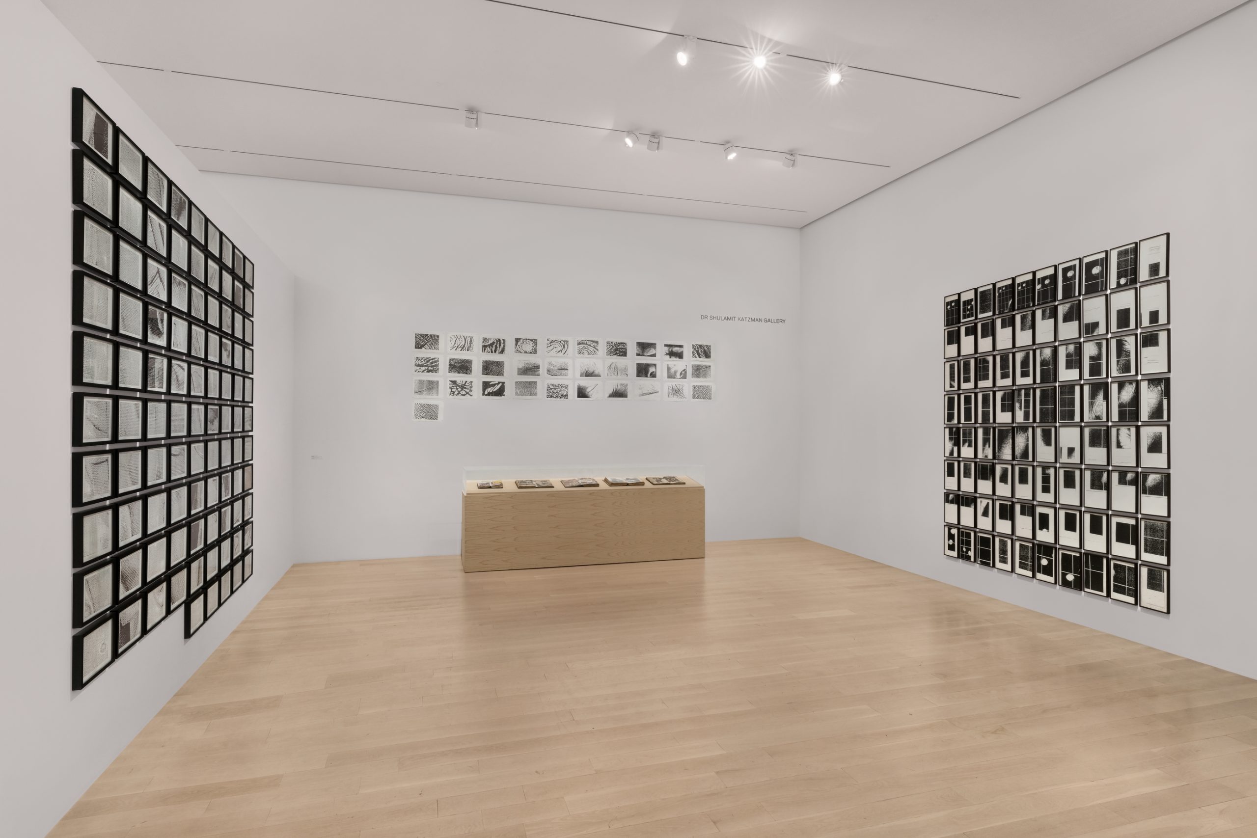 Hudinilson Jr.: Tension Zone - Institute of Contemporary Art, Miami