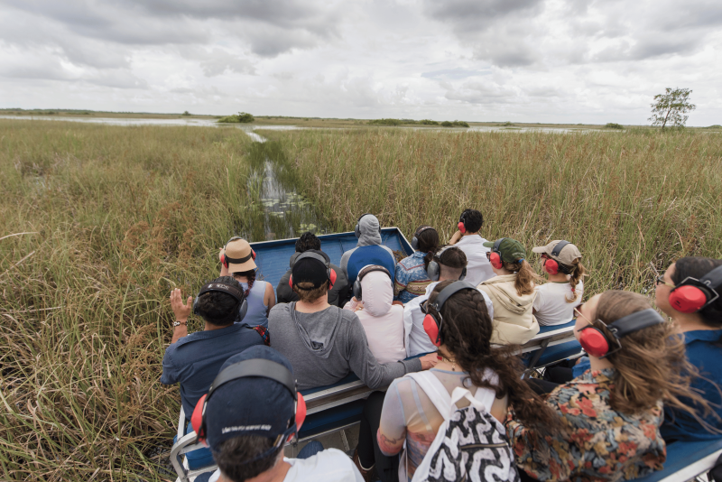 ICA Miami’s Knight Foundation Art + Research Center Swamp Symposium ...