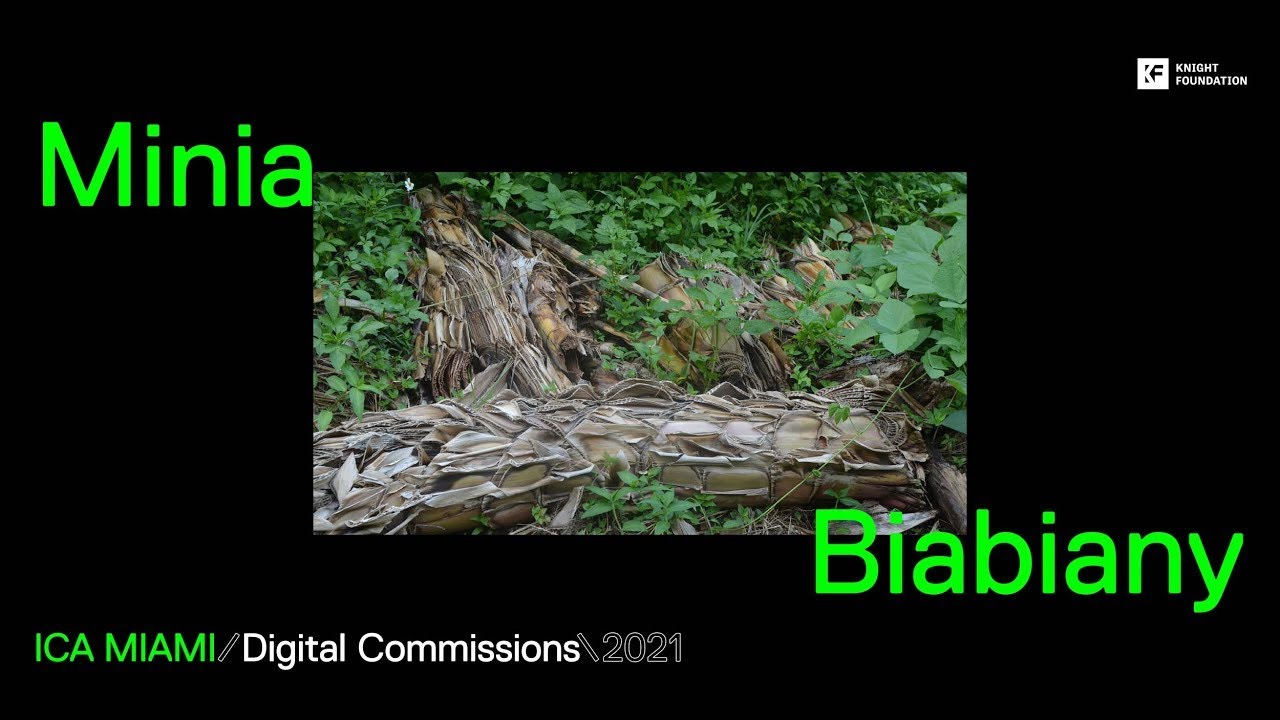 Minia Biabiany, Learning from The White Birds, 2021 - Institute of ...