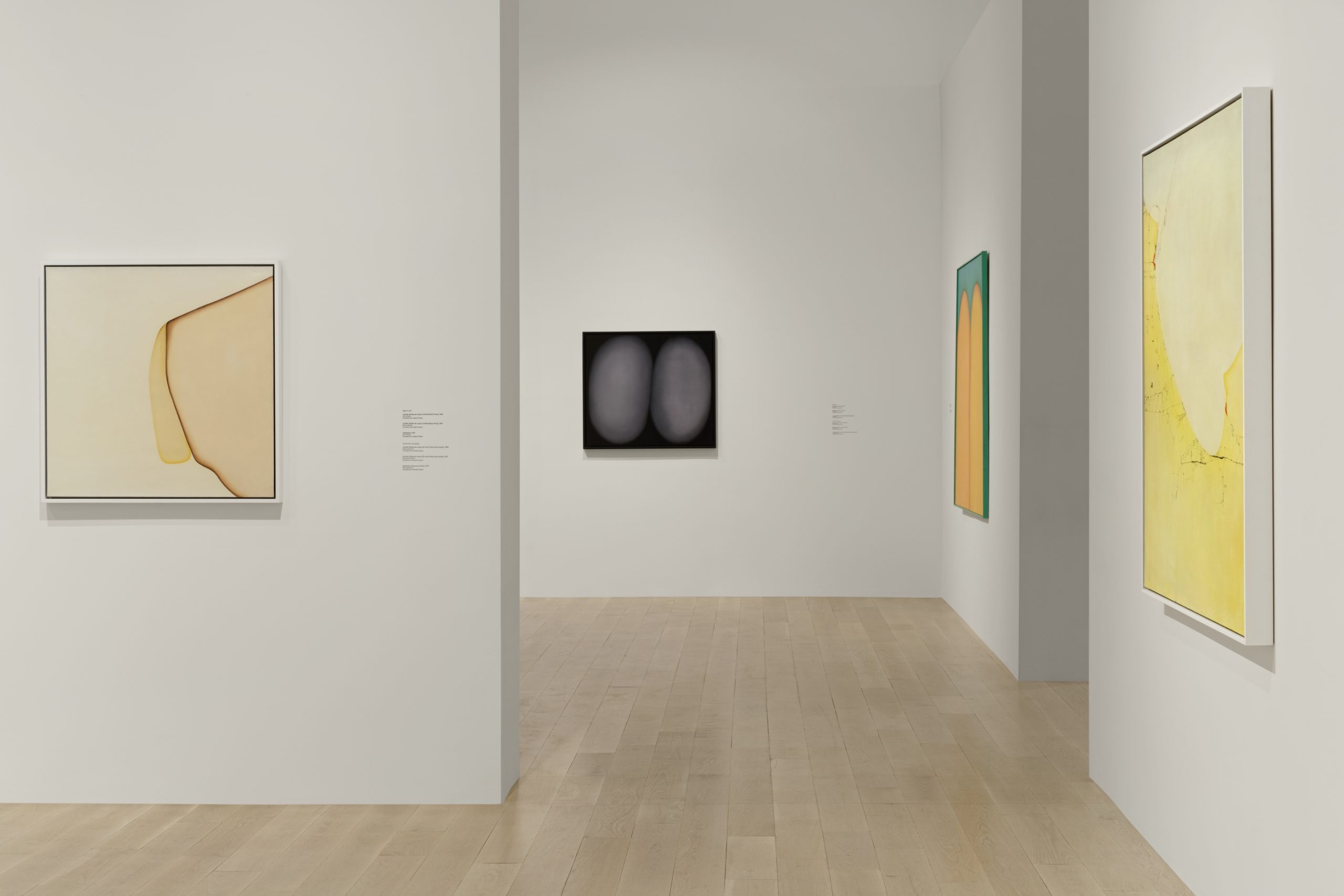 Huguette Caland: Outside the Line - Institute of Contemporary Art, Miami