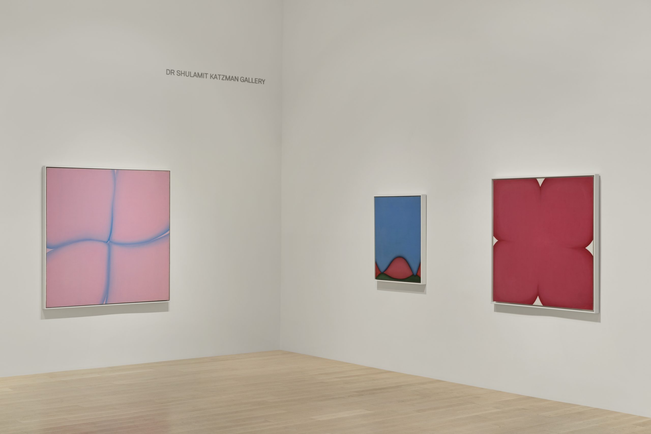 Huguette Caland: Outside the Line - Institute of Contemporary Art, Miami